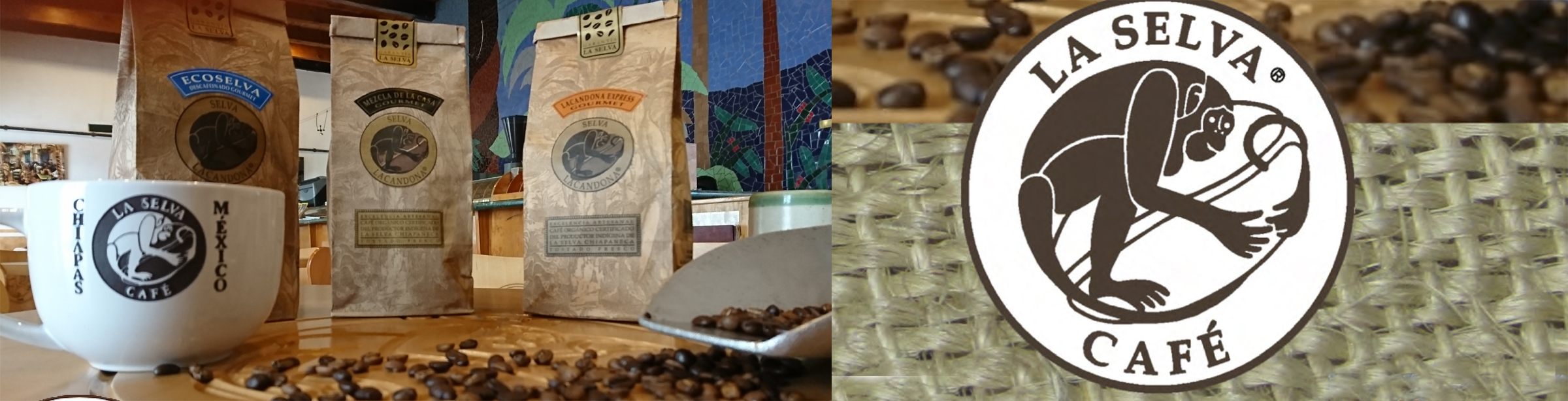 Cafés de México – información profesional de los CAFÉS DE MÉXICO y del ...